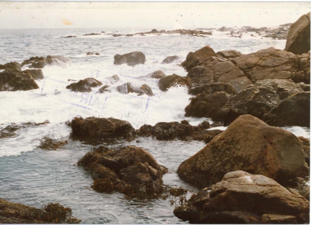 Fundación Nemesio Antúnez | Carta de Nicolás Weinstein y Ximena Aranda ...